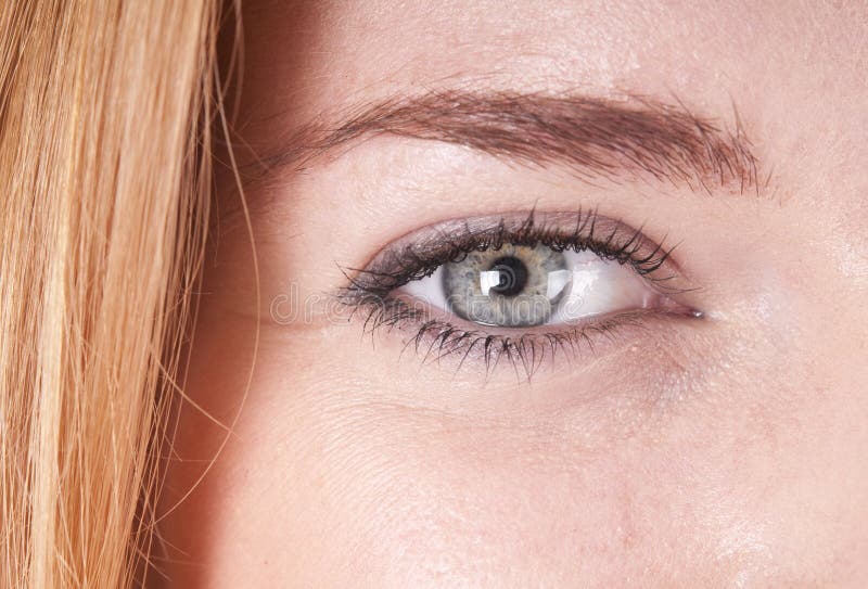 261 Eye Glint Stock Photos - Free & Royalty-Free Stock Photos from ...