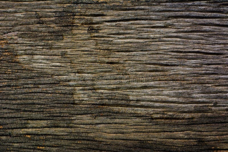 Macro Shot of Wood Plank Surface Texture Stock Image - Image of ground ...