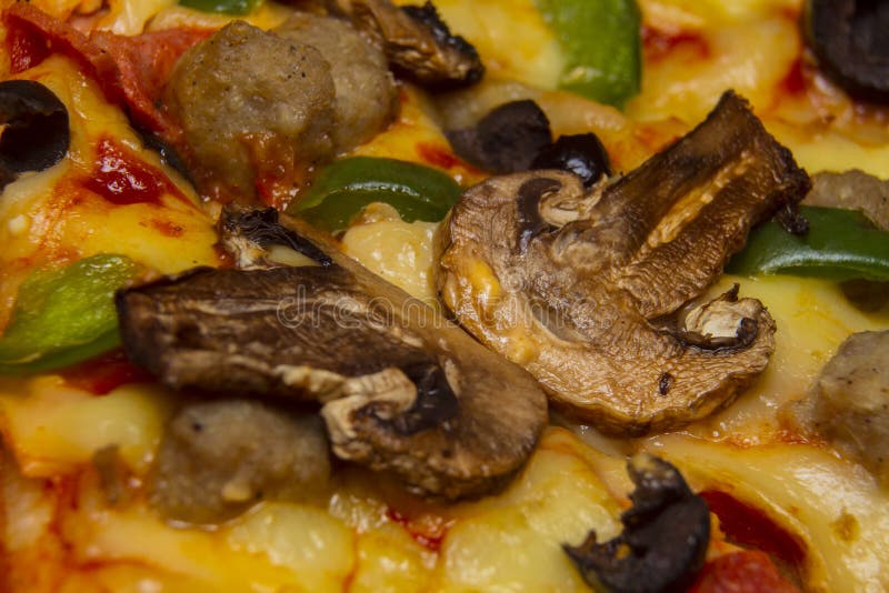 Macro Shots Praying Mantis Juvenile Close-up Image Stock Photo - Image ...