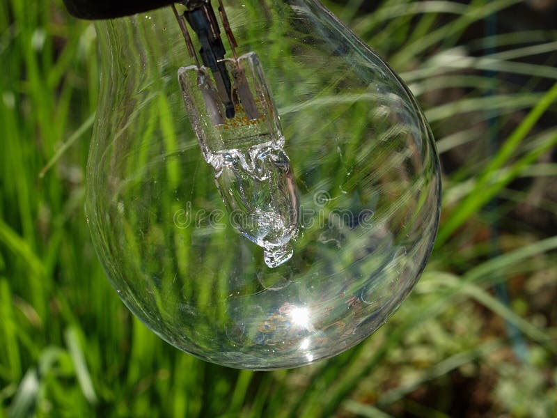 Macro of a Single Light Bulb Stock Photo - Image of green, empty: 166388826