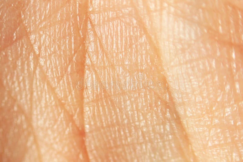 Macro Skin of the Human Hand with Line of Life. Stock Photo - Image of ...