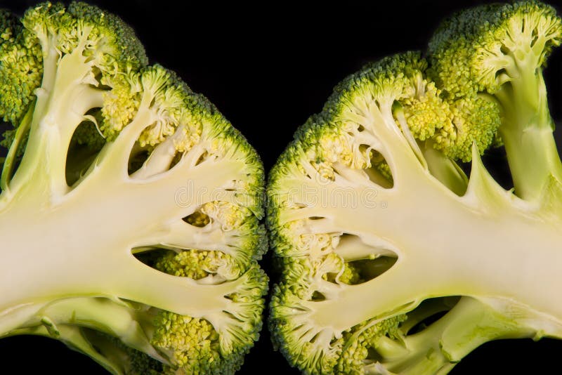 Macro of broccoli head stock image. Image of farming - 18252361