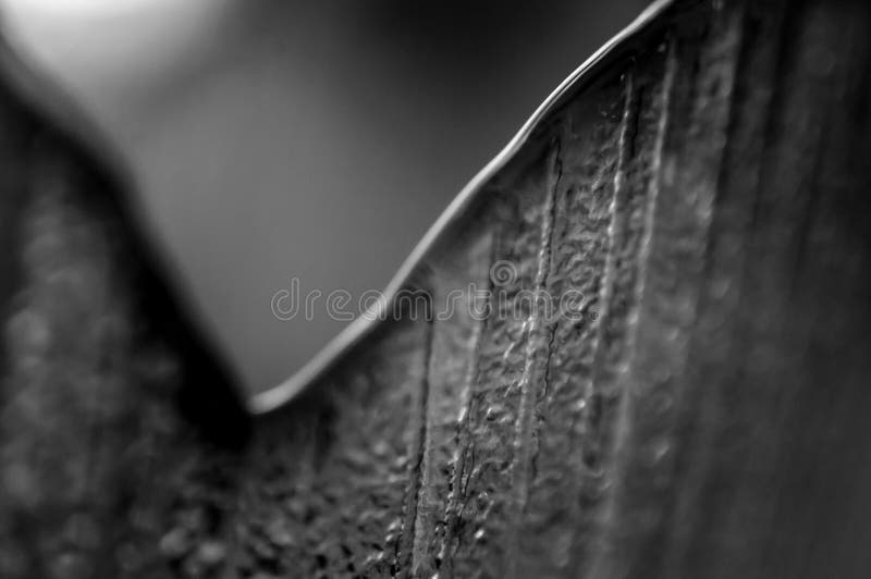 Macro of a Smooth and Rough Metallic Edge Stock Image - Image of ...