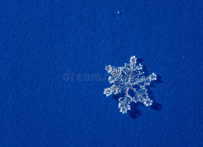Macro of Snow Flake with Copy Space Stock Photo - Image of close ...