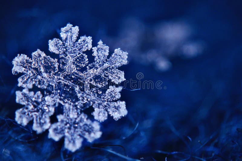 Macro snowflake stock image. Image of border, winter - 12469963