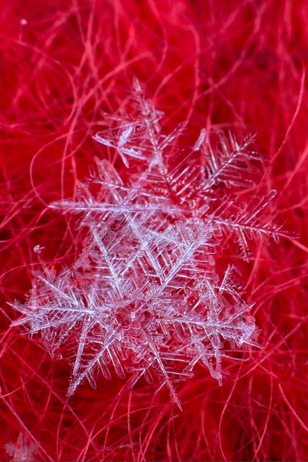 Macro Snowflake Crystals in a Large Increase Stock Photo - Image of ...