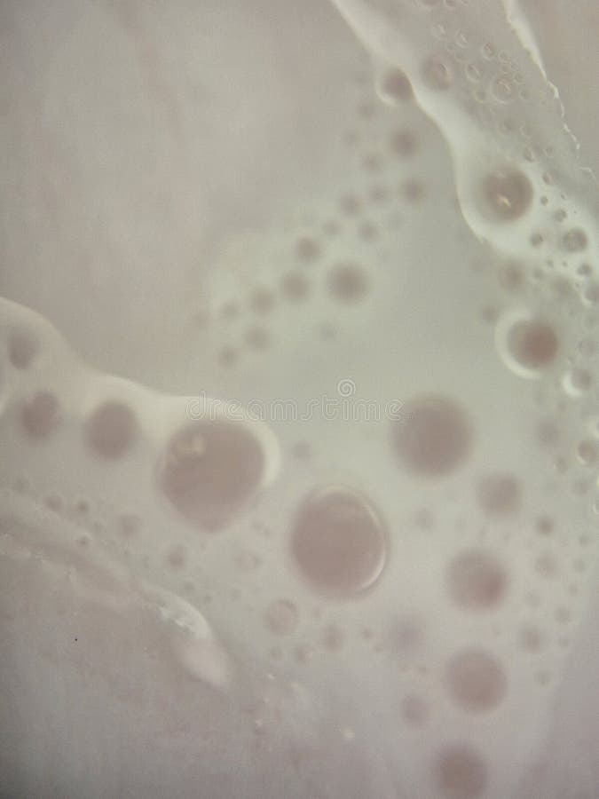 Macro of Soap Bubbles Under a Microscope Stock Photo - Image of ...