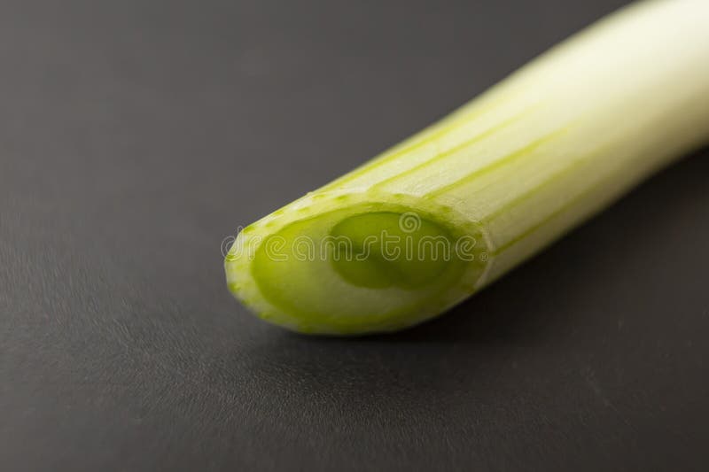 Macro Soft Focus Texture of a Piece of Spring Onion Stock Photo - Image ...