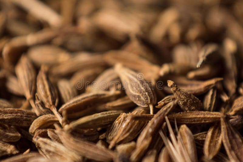 Macro of Some Little Cumin Seeds Stock Image - Image of texture ...