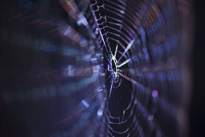 Macro of a Spiders Web Captured at Night. Stock Photo - Image of ...