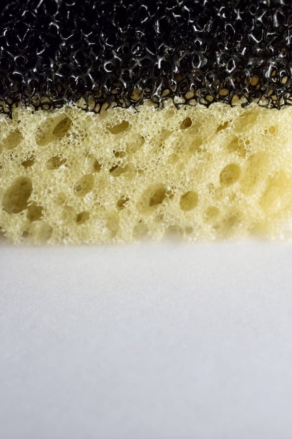 Macro sponge with holes stock photo. Image of clean - 130600198