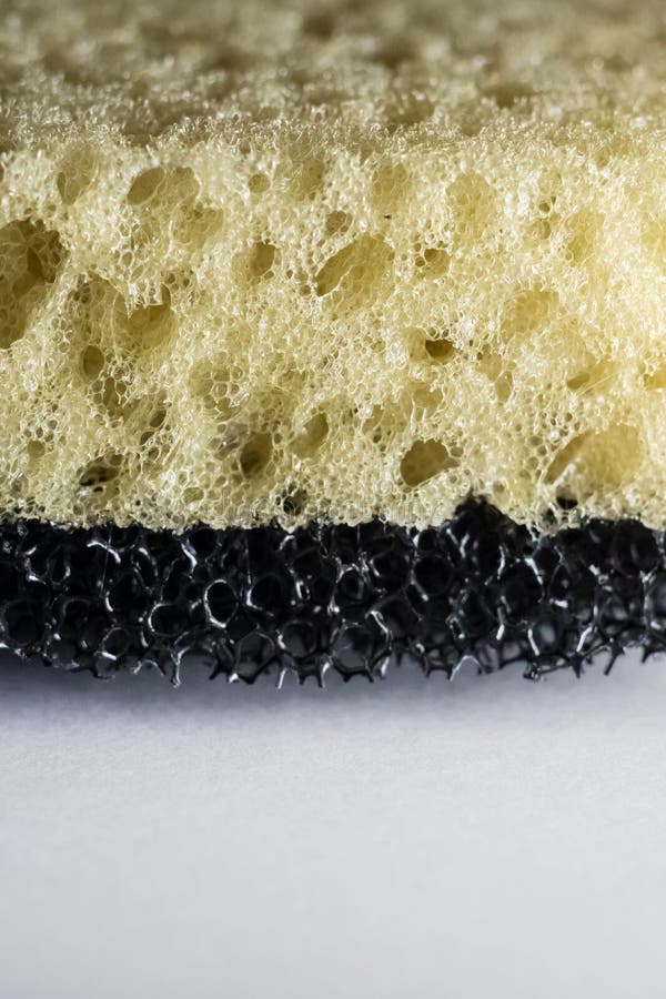 Macro sponge with holes stock image. Image of odor, hole - 130600273