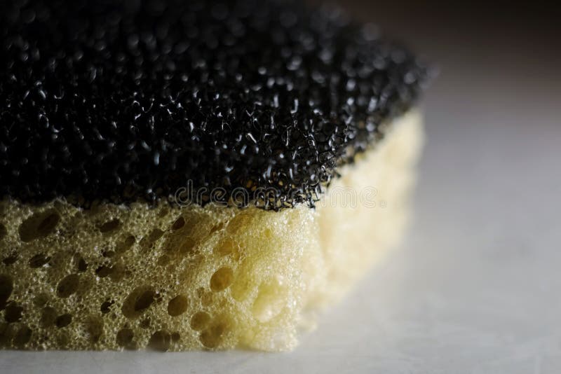 Macro sponge with holes stock photo. Image of granules - 130600392