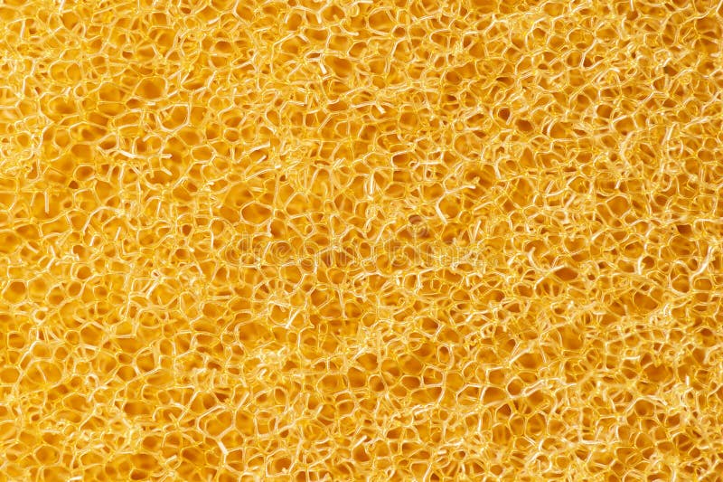Macro Sponge Texture Background Stock Image - Image of scrub, beauty ...