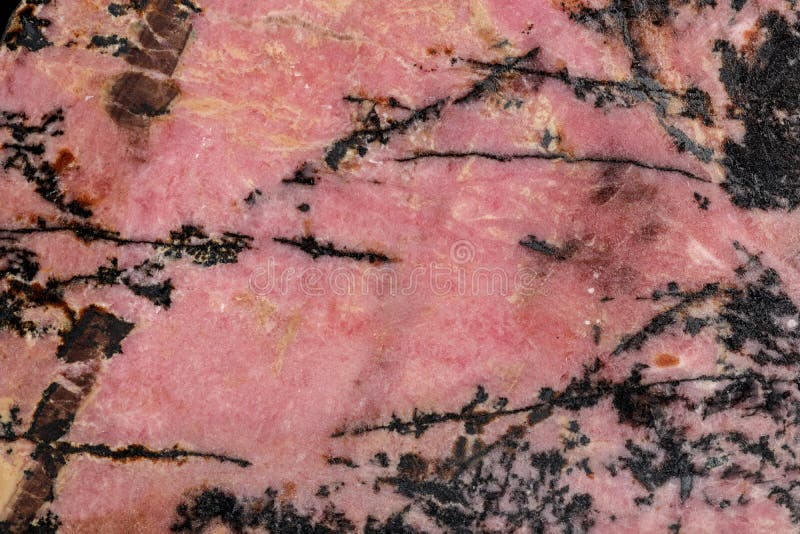 Macro Stone Rhodonite Mineral on a Black Background Stock Image - Image ...