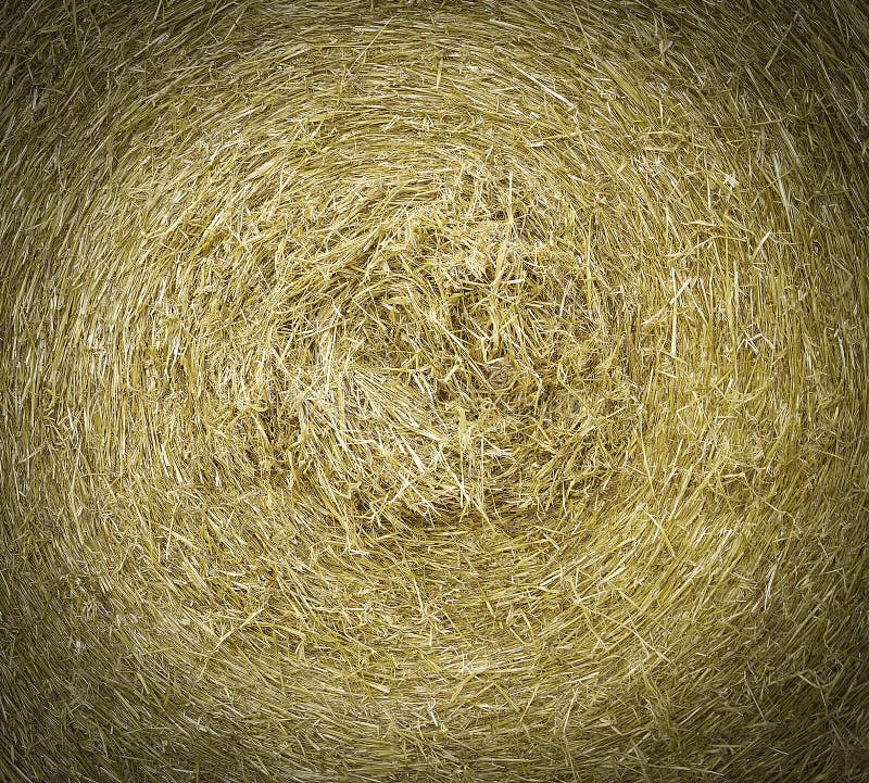 Macro Straw Texture, Collected in a Roll of Hay in Summer Sunlight ...