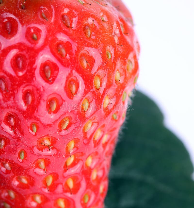 Macro of strawberry stock photo. Image of fruitage, juicy - 12205388