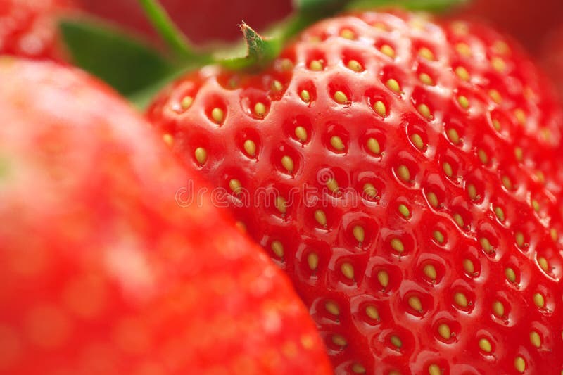 Macro of strawberry stock image. Image of freshness - 351398731