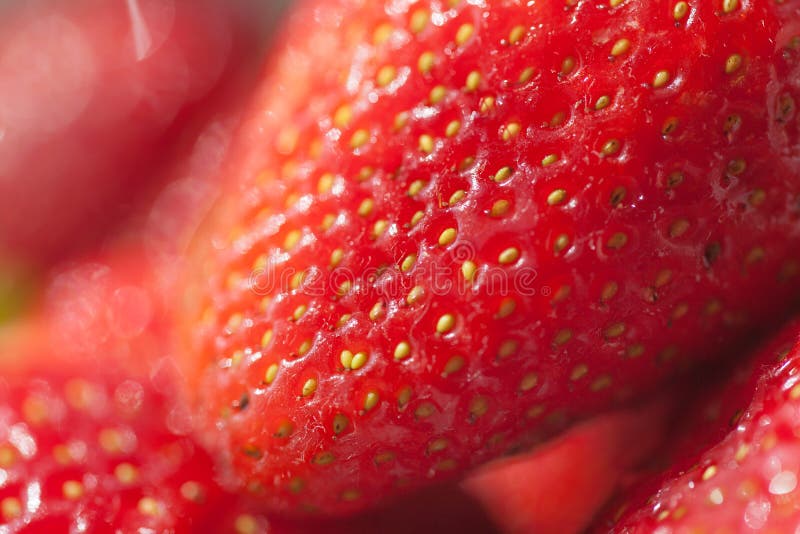 Macro of strawberry. stock photo. Image of berry, refreshment - 132962292