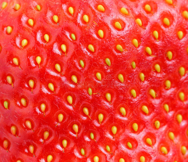 Macro Of Strawberry Texture Stock Photo - Image of sweet, sappy: 23281666