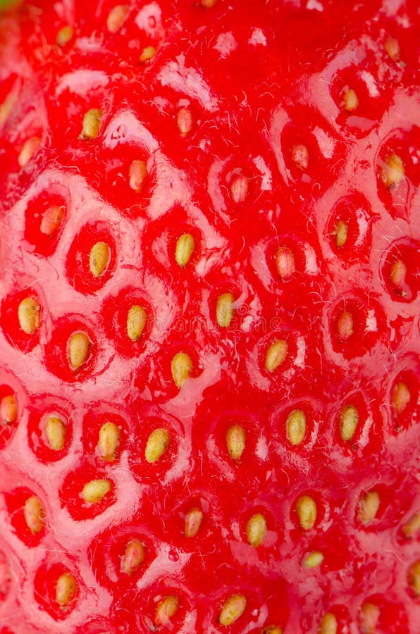 Macro of a Strawberry Texture Stock Image - Image of mellow, pattern ...