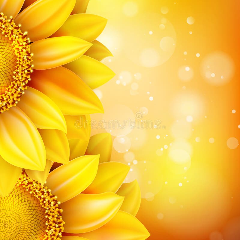 Macro SunFlower Background. EPS 10 Stock Vector - Illustration of vector, color: 55418571