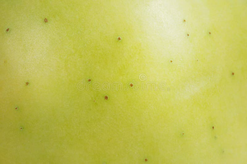 Macro Texture of Apple Peel. Green Apple As a Background Stock Photo ...
