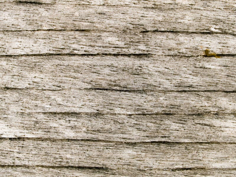 Macro Texture - Bois - Texture Photo stock - Image du bois, texture: 642488