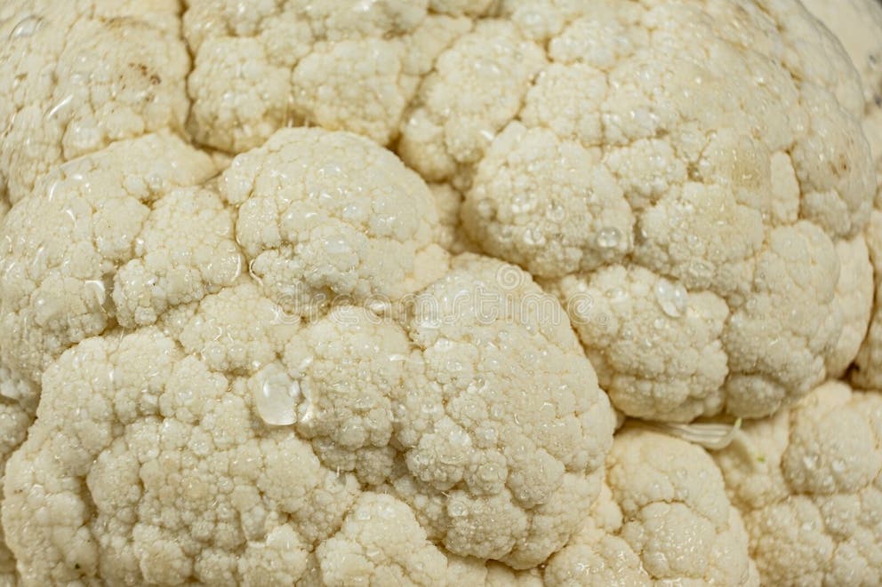 Macro Texture of Cauliflower Surface with Water Droplets Stock Image ...