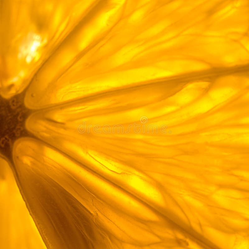 Macro Texture Fresh Lemon Yellow Abstract Background Stock Photo ...