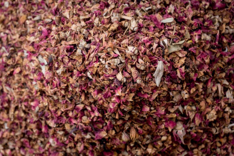 Macro Texture of Natural Dry Rose Herbal Tea Stock Image - Image of ...
