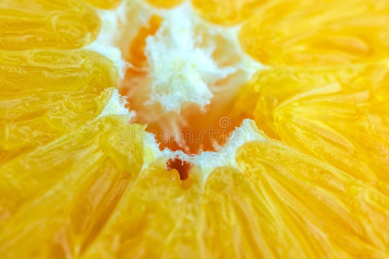 Macro of Texture Orange Fruit .Close Up Flesh of Orange Stock Image ...