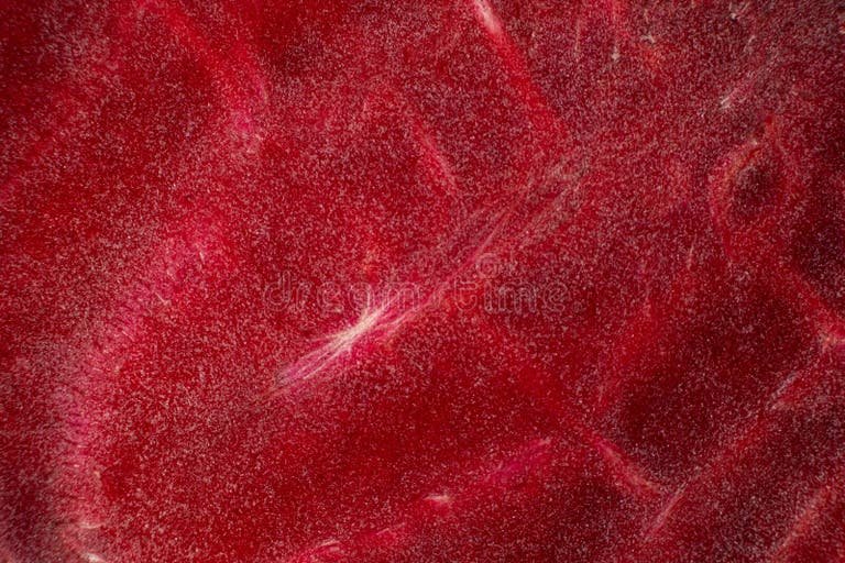 Macro Texture of Raw Red Beetroot Slice, Top View Background Stock ...