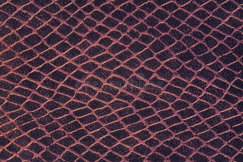 Macro Texture of Scales of Leather Stock Photo - Image of unique, macro ...