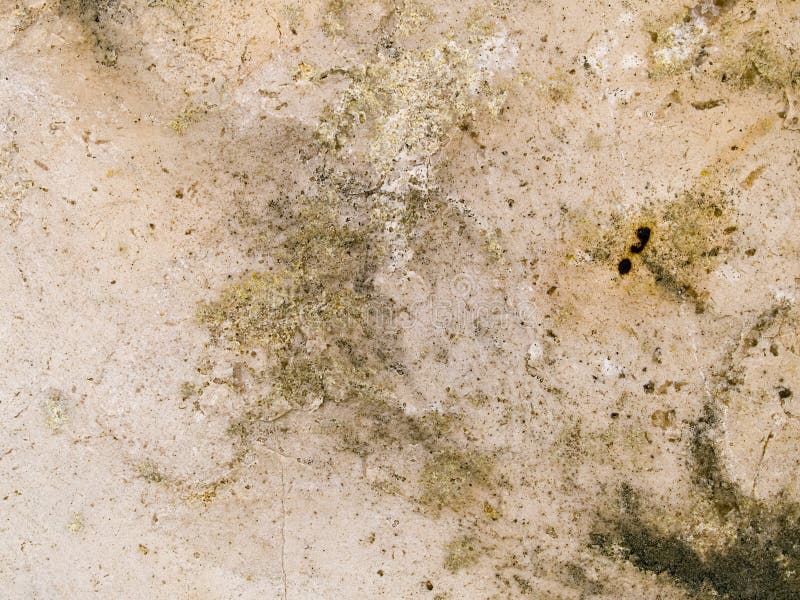 Macro Texture - Stone - Mottled Stock Photo - Image of magnified ...