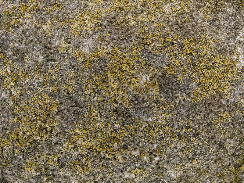 Macro Texture - Stone - Mottled Stock Photo - Image of magnified ...