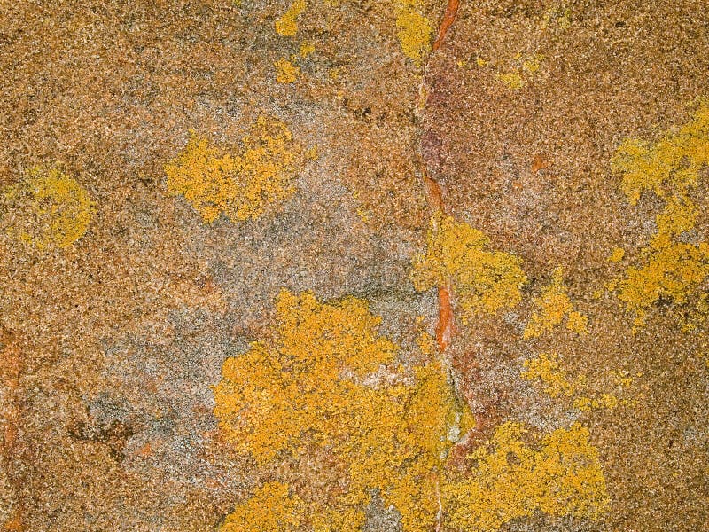 Macro Texture - Stone - Mottled Stock Photo - Image of elements ...