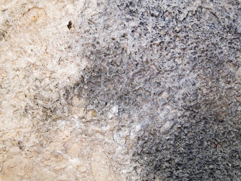 4,368 Mottled Stone Rock Texture Background Stock Photos - Free ...