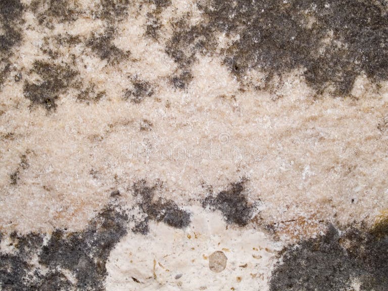 3,576 Mottled Textures Stock Photos - Free & Royalty-Free Stock Photos ...