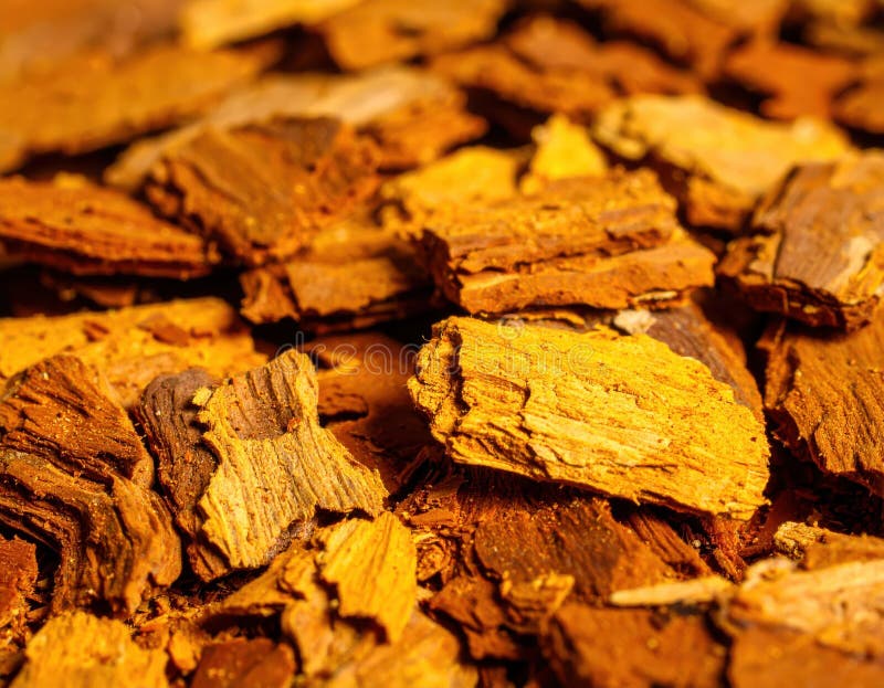 Macro Texture of Tree Bark Pressed Still Life Composition Stock ...