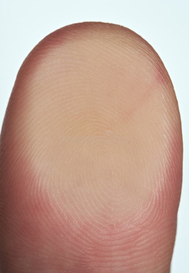 Macro of Thumb Lines Finger Stock Image - Image of business, indoor ...