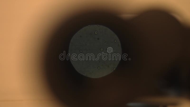 Macro Top View from First-person Perspective Looking into a Microscope ...