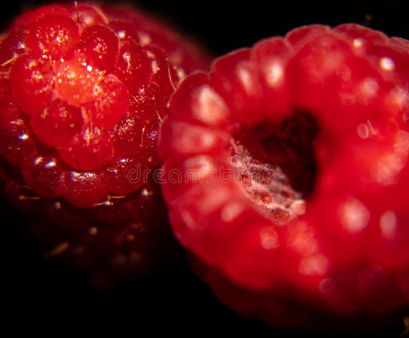 Macro Two Raspberries Black Background with Details Stock Photo - Image ...