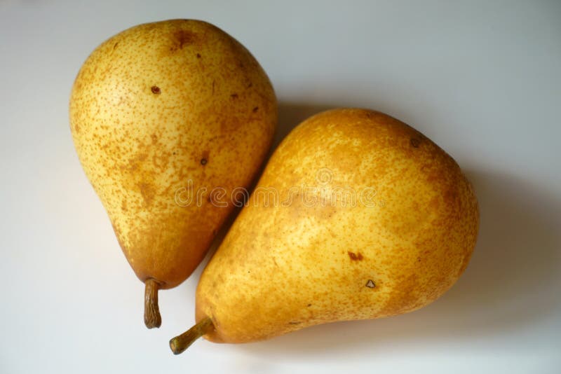 Macro of Two Ripe Yellow Fruits of Pear Stock Photo - Image of fall ...