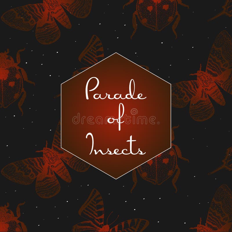 Macro Vector Insect Card Template Stock Vector - Illustration of ...