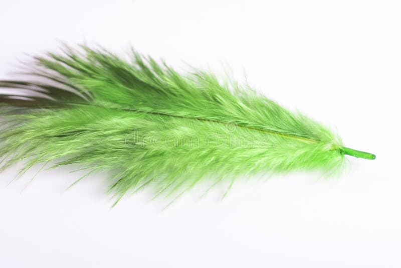 Macro verde de la pluma foto de archivo. Imagen de extremo - 111289876