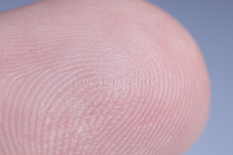 Macro View of Finger with Friction Ridges Stock Image - Image of ...
