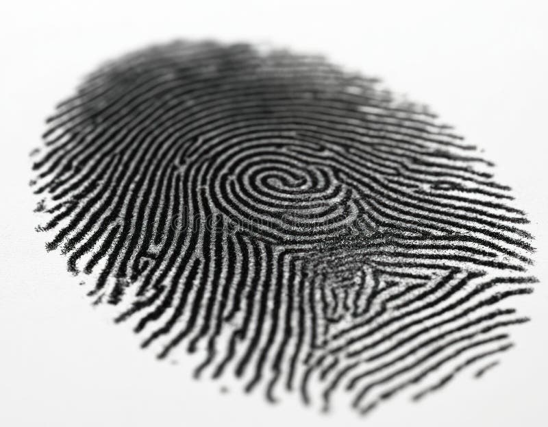 Macro View of a Fingerprint, Showcasing Intricate Ridge Patterns ...