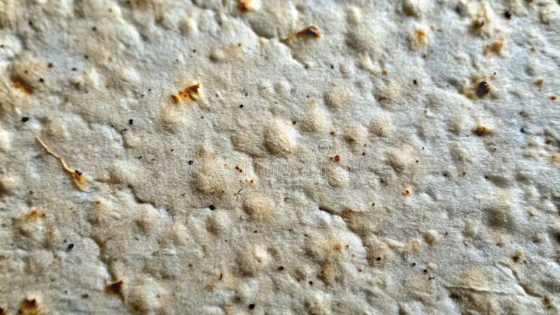 Macro View Flatbread Textureâ€ Closeup of Blistered, Charred Surface ...