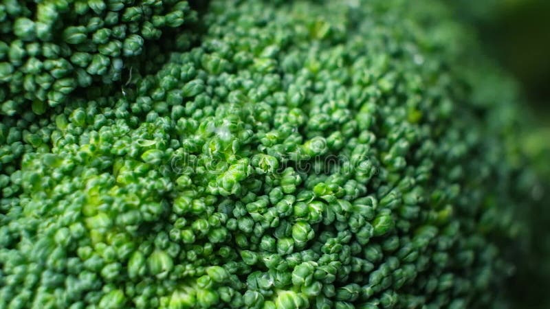 Macro View of Fresh Green Broccoli with Detailed Texture. Stock Video ...